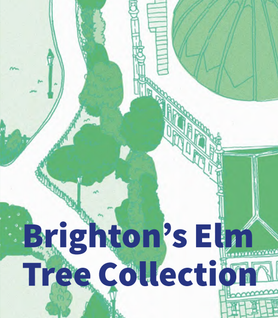 Arboricultural Association - Map of Brightons Famous Elm Trees Launched